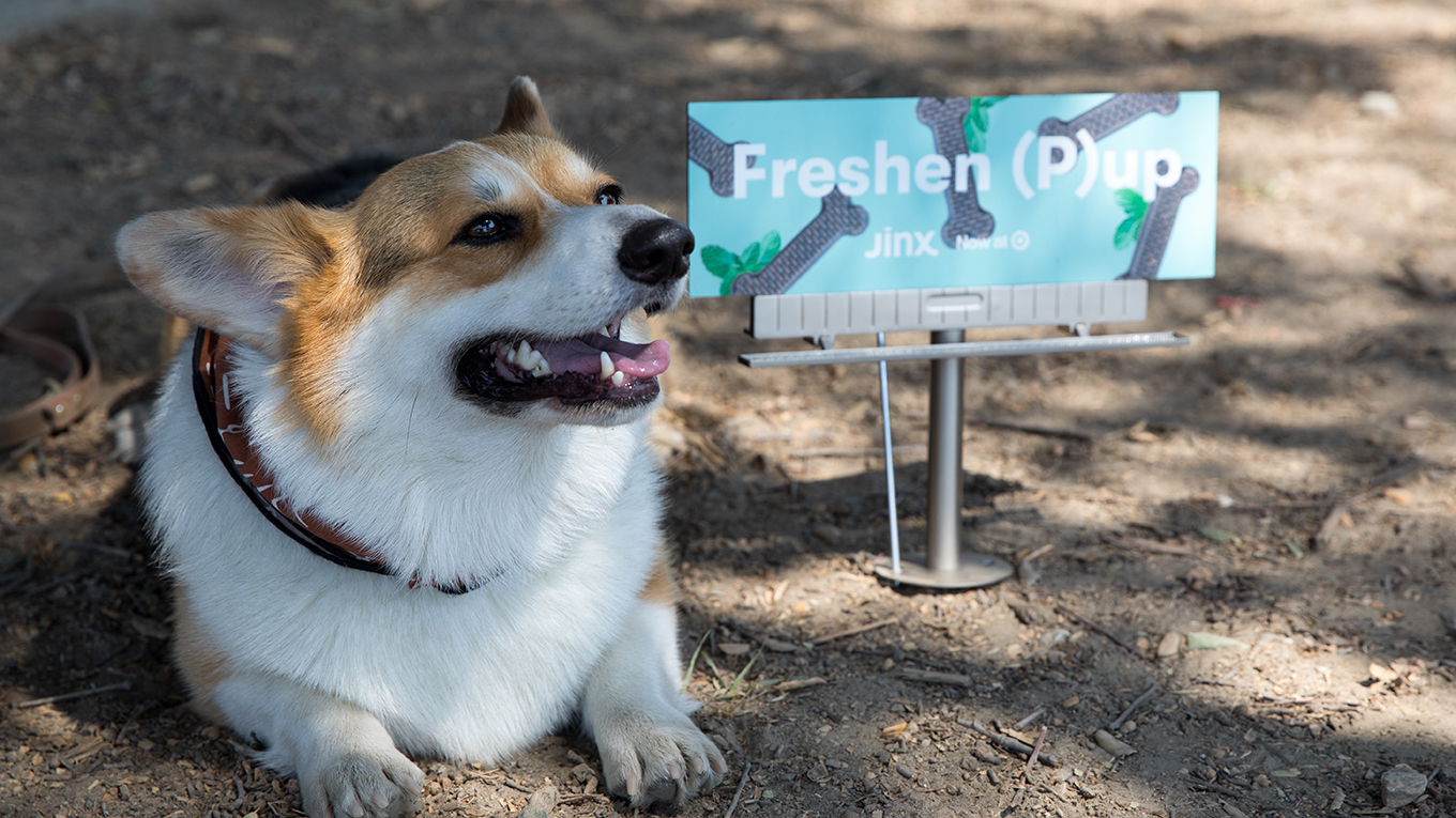 These Clever Billboards Are at Dog-Eye Level