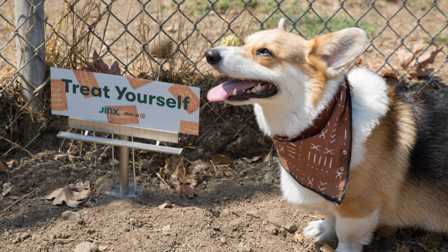 These Clever Billboards Are at Dog-Eye Level
