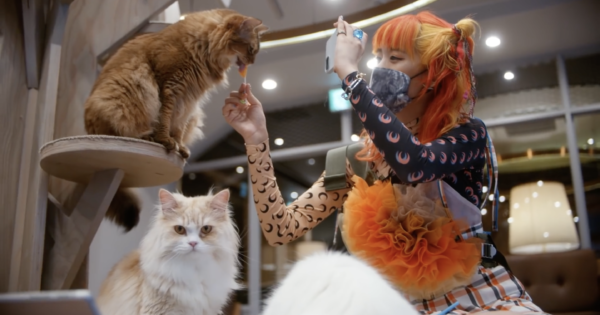 Microsoft Teams Takes Grounded Travelers to Tokyo