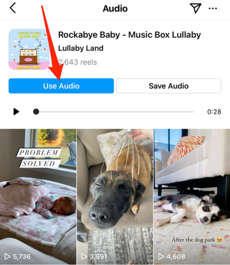 Instagram: How to Search for Audio