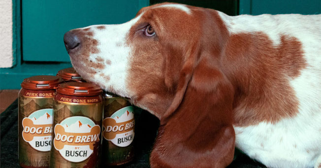DoorDash Offers Cans of Busch Dog Brew for Your Favorite Furry Drinking ...