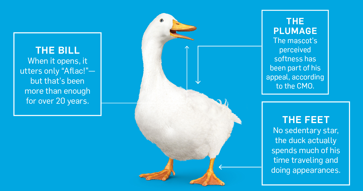 Aflac Home Insurance Reviews - Homemade Ftempo