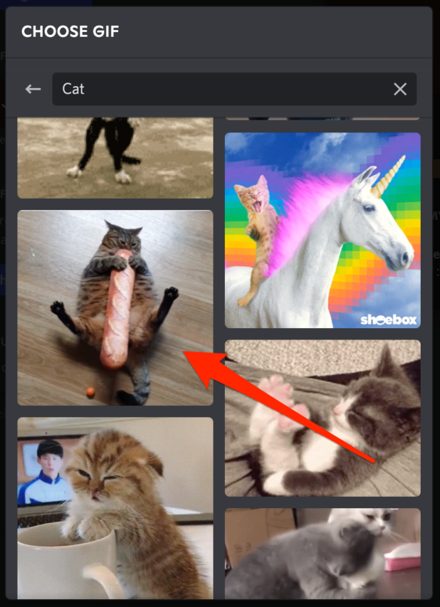 Discord: How to Use a GIF as Your Avatar