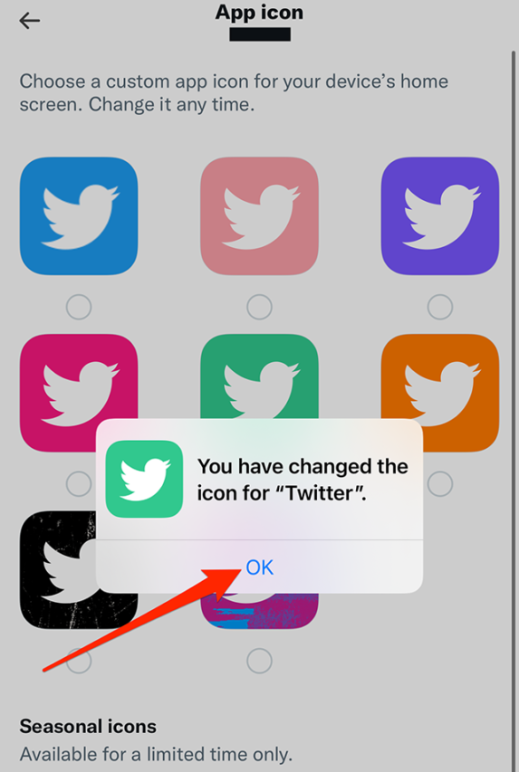 Twitter Blue: How to Change Your App Icon