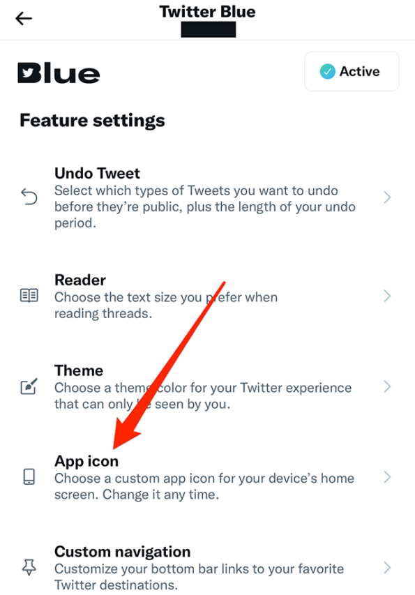 Twitter Blue: How to Change Your App Icon