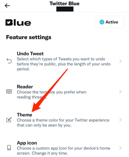 Twitter Blue: How to Change Your Theme Color