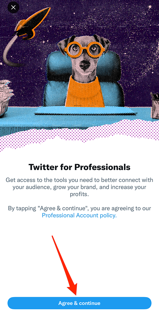 Twitter: How to Switch to a Business Profile