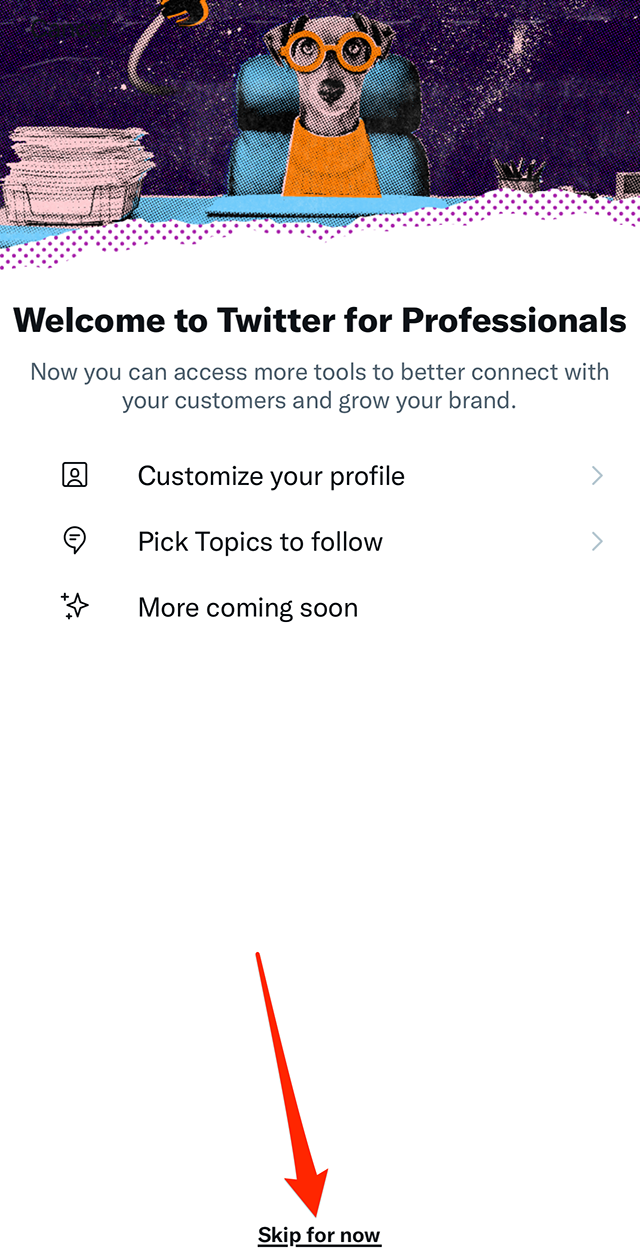 Twitter: How to Switch to a Business Profile