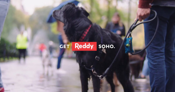 Reddy Introduces Itself to Dogs Through a 'Scent-sory' Tour