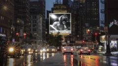 How Apple's 'Shot on iPhone' Campaign Became an Enduring Hit