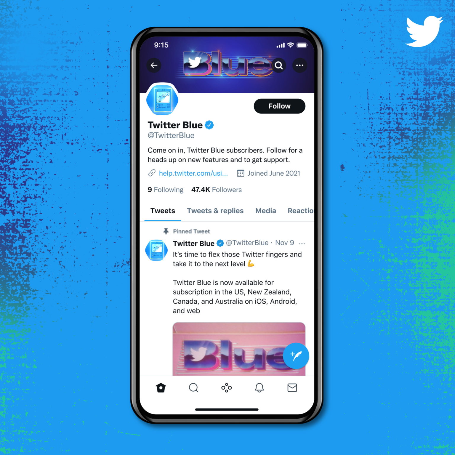 Twitter Blue Adds NFT Profile Pictures