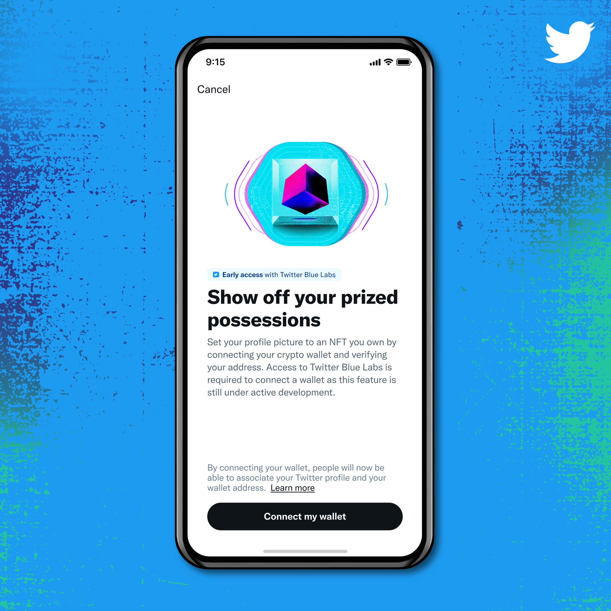 Twitter Blue Adds NFT Profile Pictures