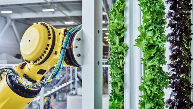 Inventory Robots Begin Roaming the Aisles at Sam's Club