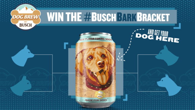 Busch Light’s Bracket Season Entry May Put Your Dog on the New Busch ...