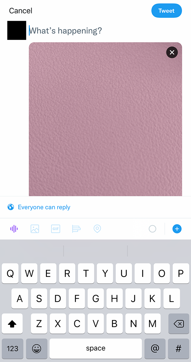 Twitter: How to Create a GIF in the App