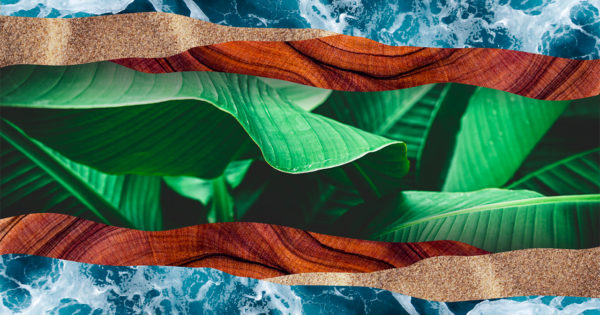 Meta Details Earth Day Initiatives Across Its Family of Apps