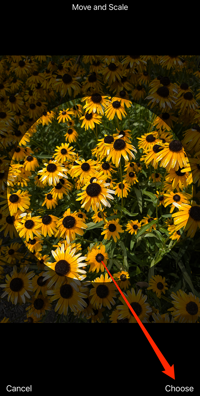 BeReal: How to Add a Profile Picture to Your Account