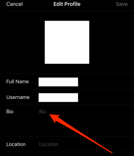 BeReal: How to Add a Bio to Your Profile