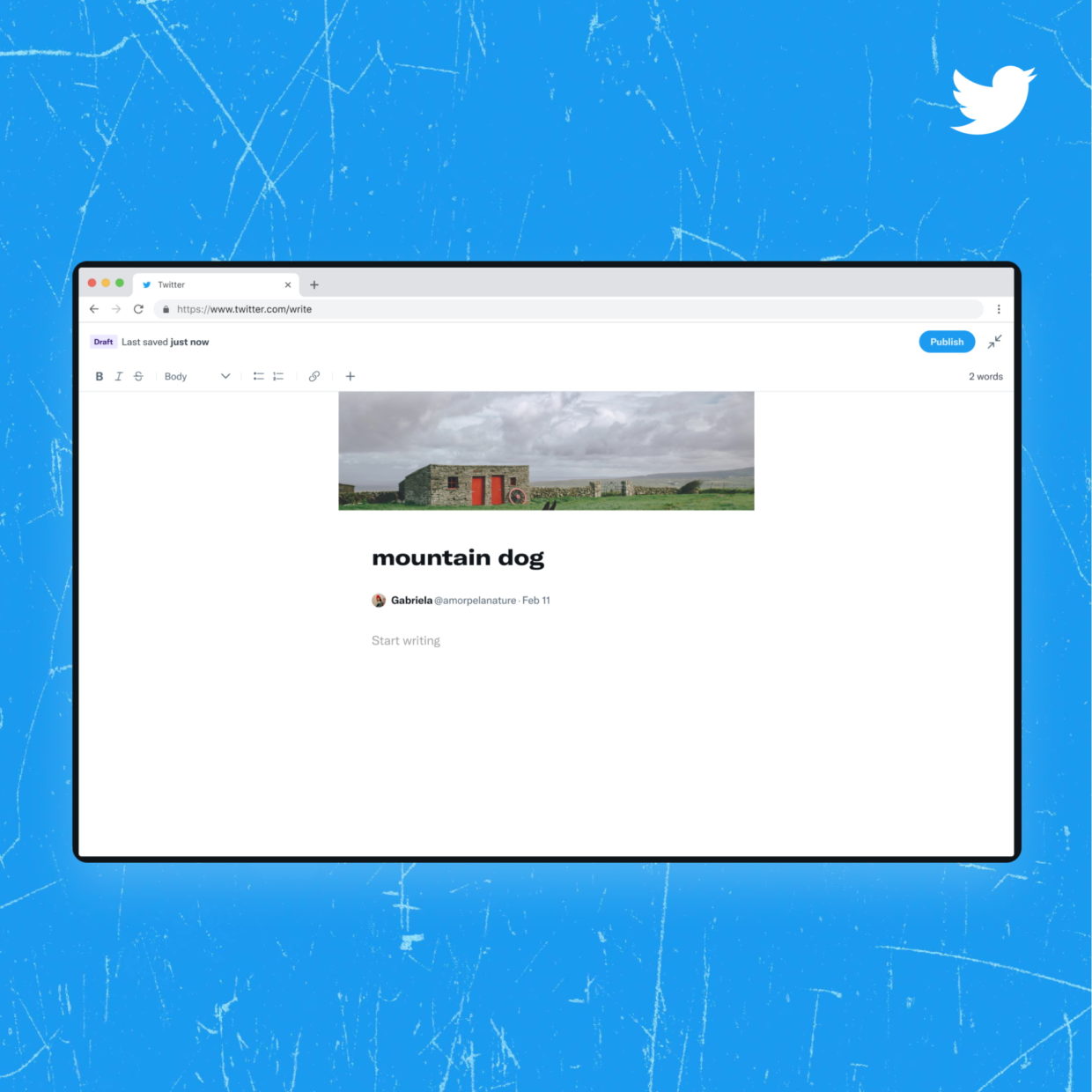 Twitter Introduces Twitter Write Team, Notes Feature
