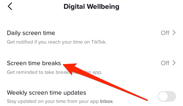 TikTok: How to Turn On Screen Time Break Reminders