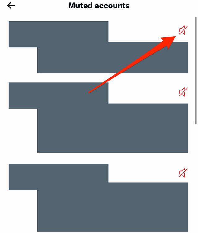 Twitter: How to See the Accounts You've Muted
