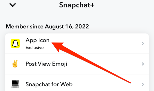 Snapchat+: How to Change the App's Icon