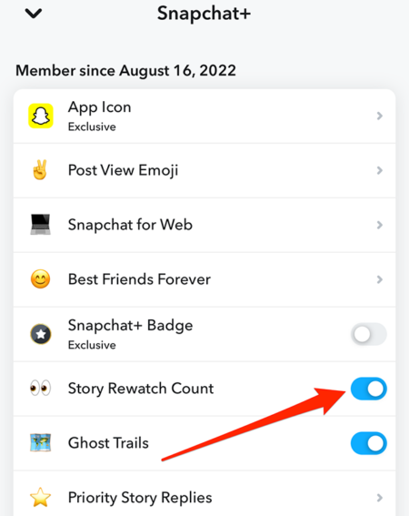 Snapchat+: How to Turn Off Your Story Rewatch Count