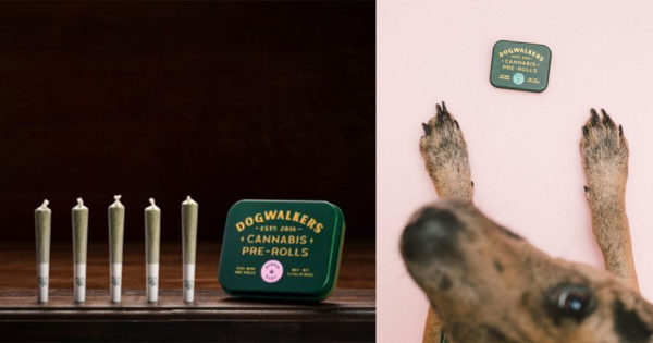 Cannabis Titans Troll Each Other Over 'Knock Off' Pre-Rolls