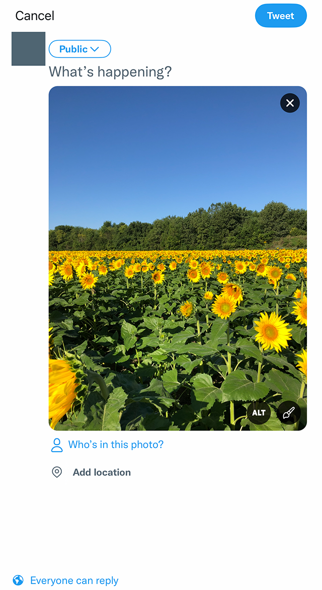 Twitter: How to Add Alt Text to Images on Mobile