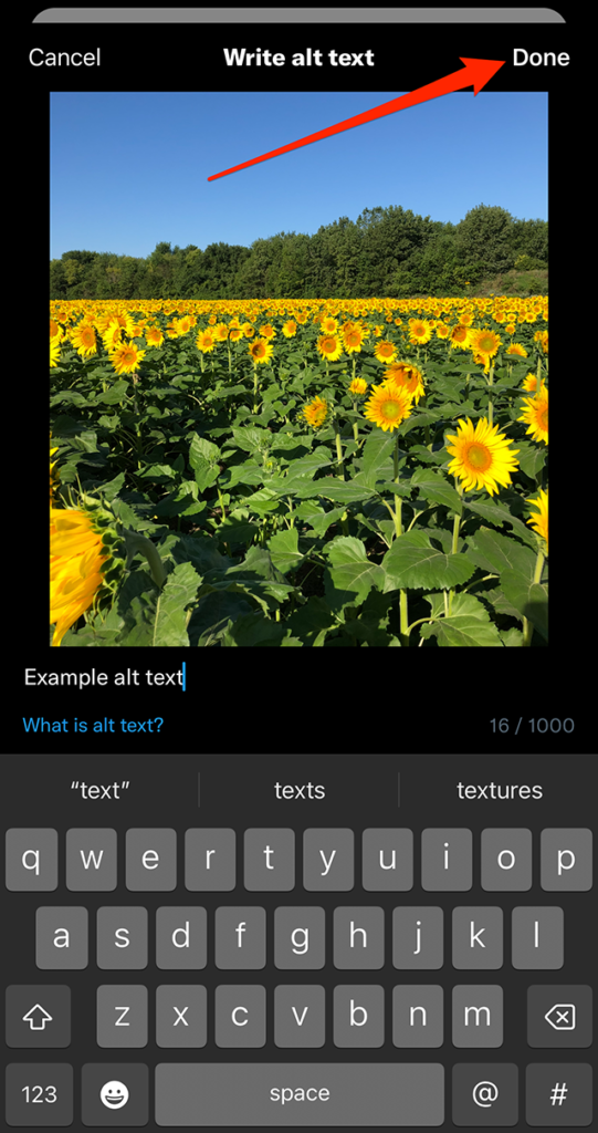 Twitter: How to Add Alt Text to Images on Mobile