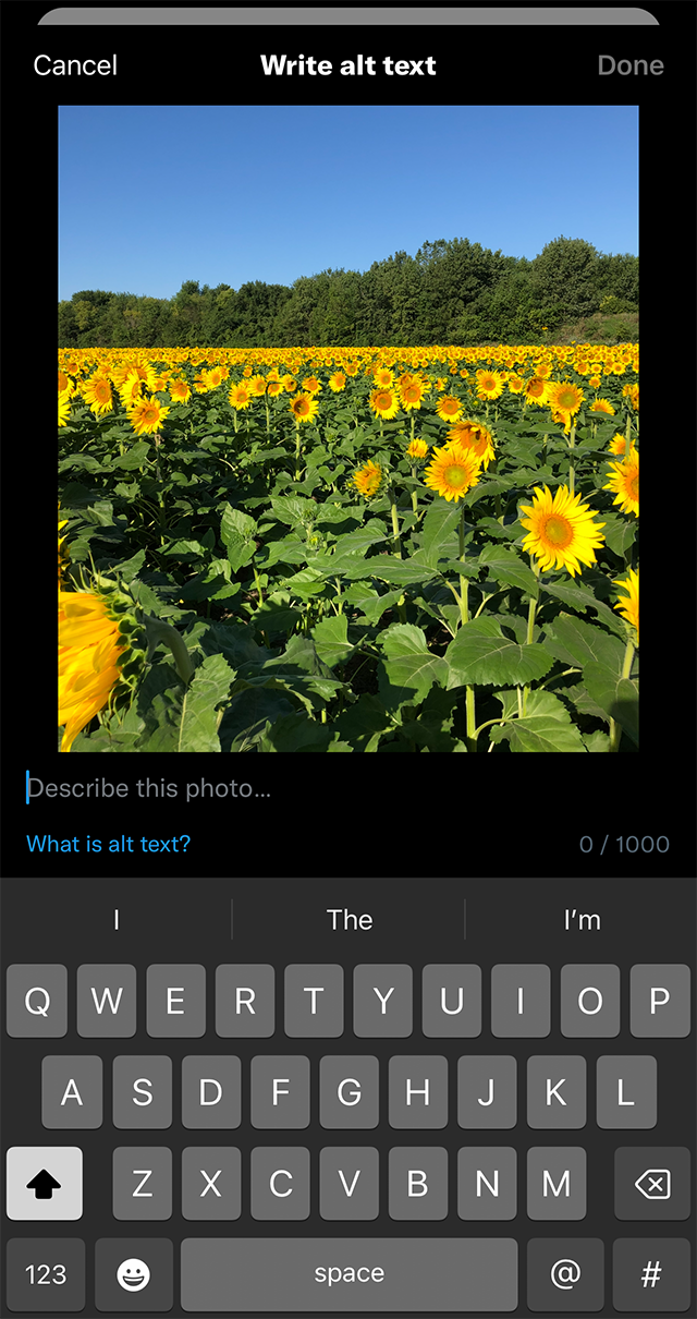 Twitter: How to Add Alt Text to Images on Mobile