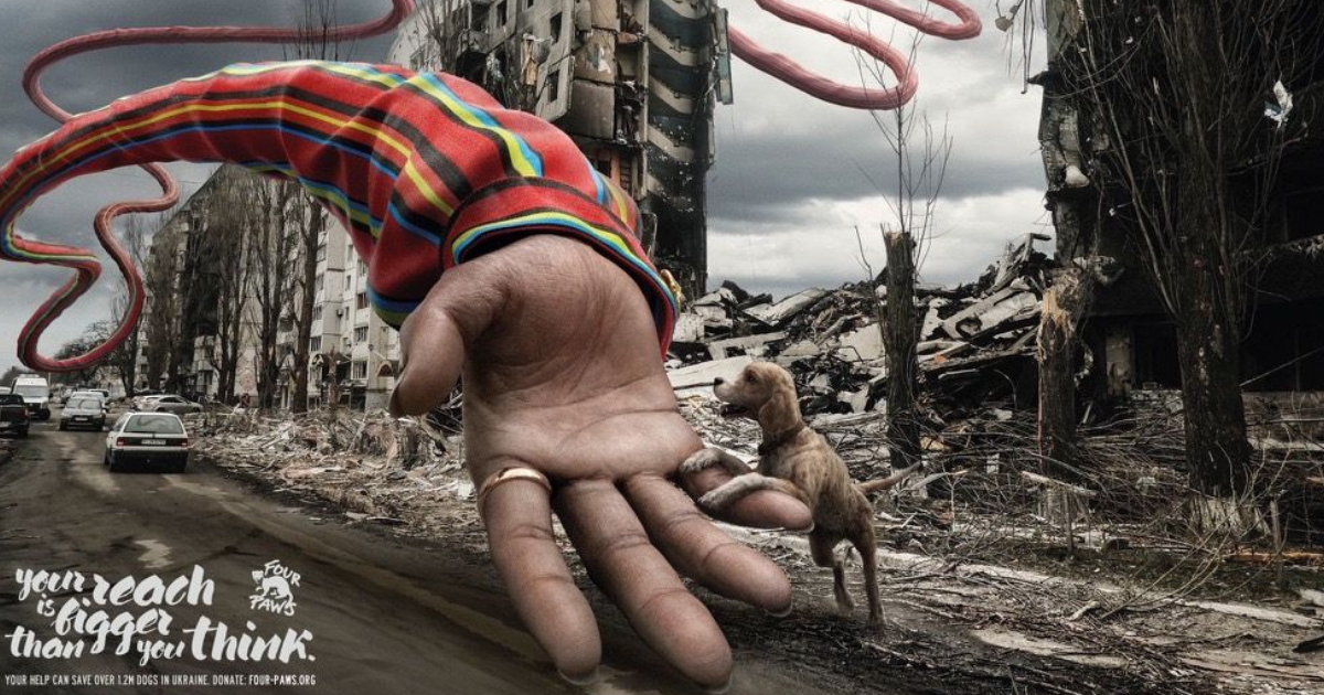 Ogilvy Health Creates Campaign For Orphaned Dogs in Ukraine