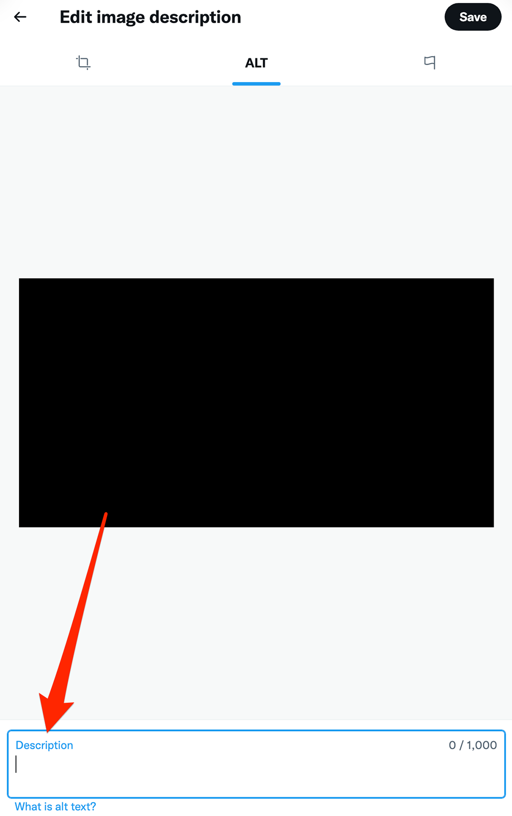 Twitter: How to Add Alt Text to Images on the Web