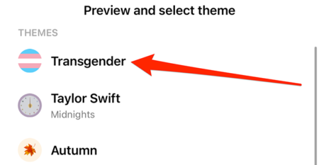 Messenger: How to Use the Transgender Chat Theme