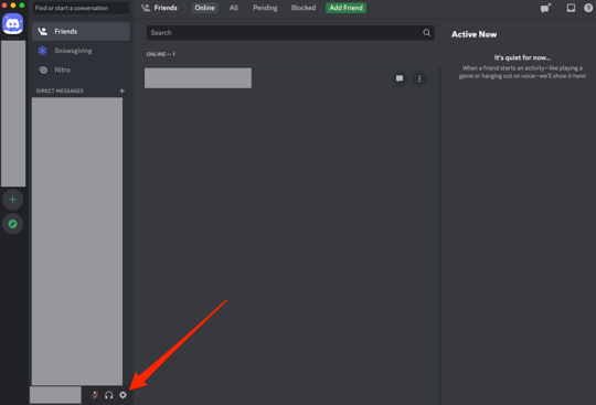 Discord Nitro: How to Decorate Your Avatar for Snowsgiving