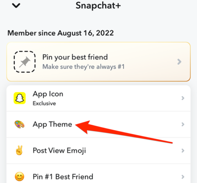 Snapchat+: How to Change the App's Recording Frame