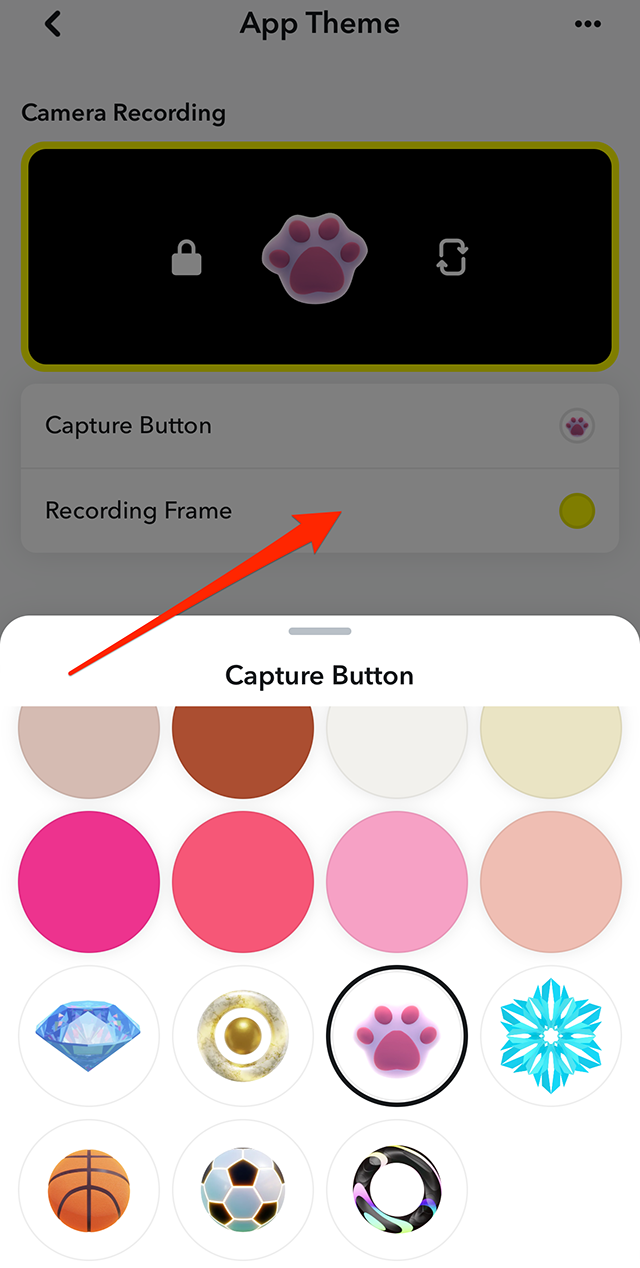 Snapchat+: How to Change the App's Capture Button
