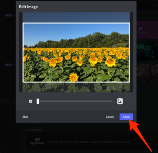 Discord Nitro: How to Use a Custom Video Background on Desktop