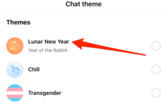 Instagram: How to Use the Year of the Rabbit Chat Theme