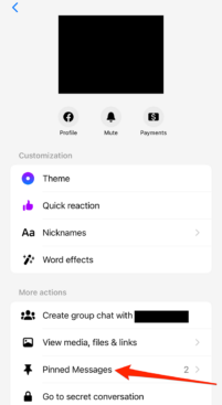 Messenger: How to See All of the Pinned Messages in a Chat