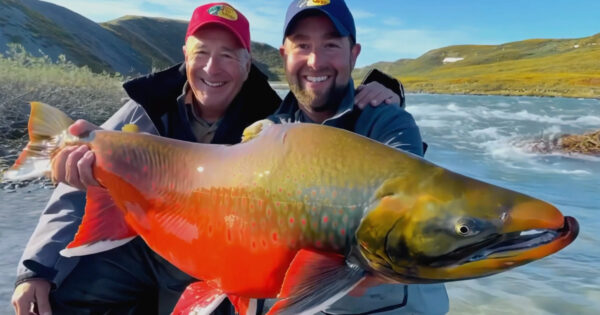 Bass Pro Shops, Cabela's Bring a Giant Fish to the Big Game