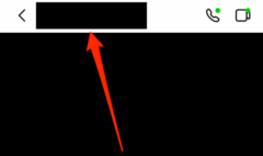 Instagram: How to Use the Bloom Chat Theme