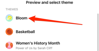 How to Use the Bloom Chat Theme on Messenger