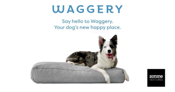 Waggery’s Kickstarter Offers Dogs Durability and Style with a Purpose ...