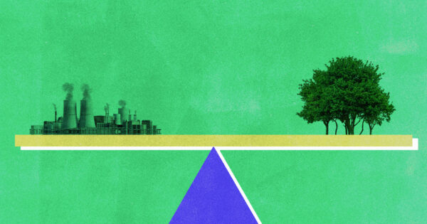 Here's What Marketers Should Know About Carbon Offsets