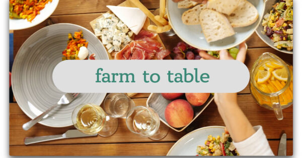 Ever.Ag’s New Campaign Showcases How They Simplify Intricacies of ...