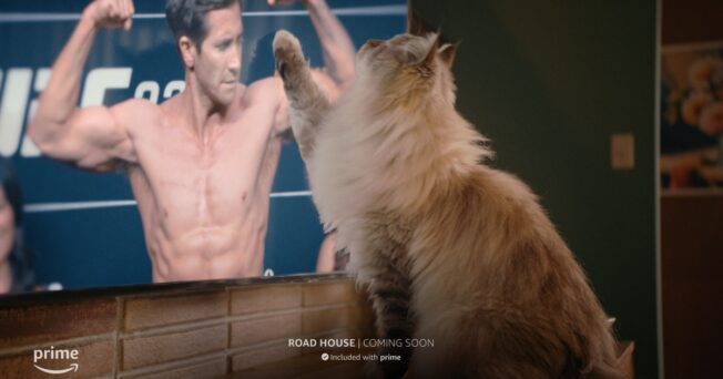 Prime Video Purrfectly Cures a Grumpy Cat in Brand Spot